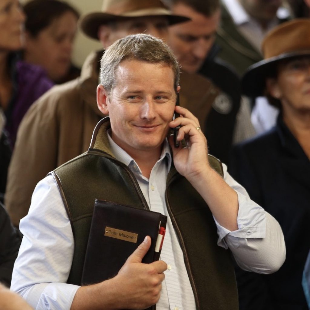 Tom Malone – Tom Malone Bloodstock