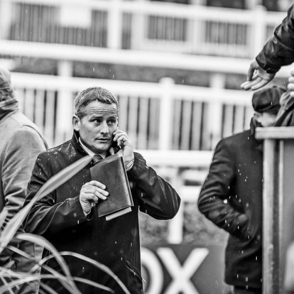 Tom Malone – Tom Malone Bloodstock