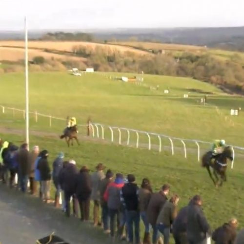 The Point to Point Yard – Tom Malone Bloodstock
